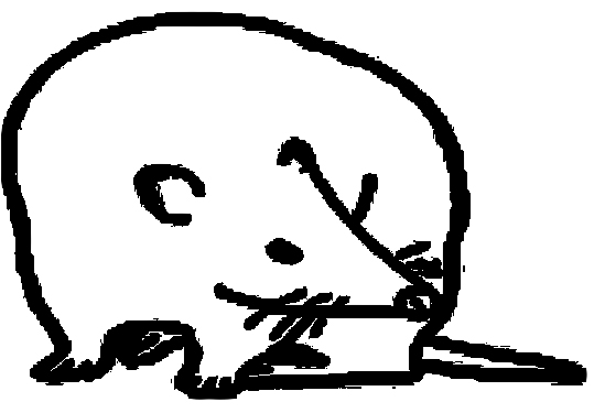 Home [mail.hirl.org.au]